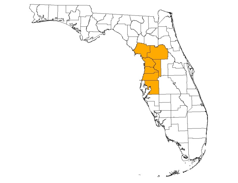 Working Groups | FSJ